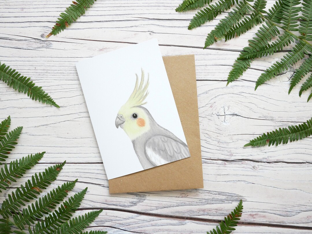 Cockatiel Greetings Card: Illustrated Wildlife Design, Recycled Card - Etsy
