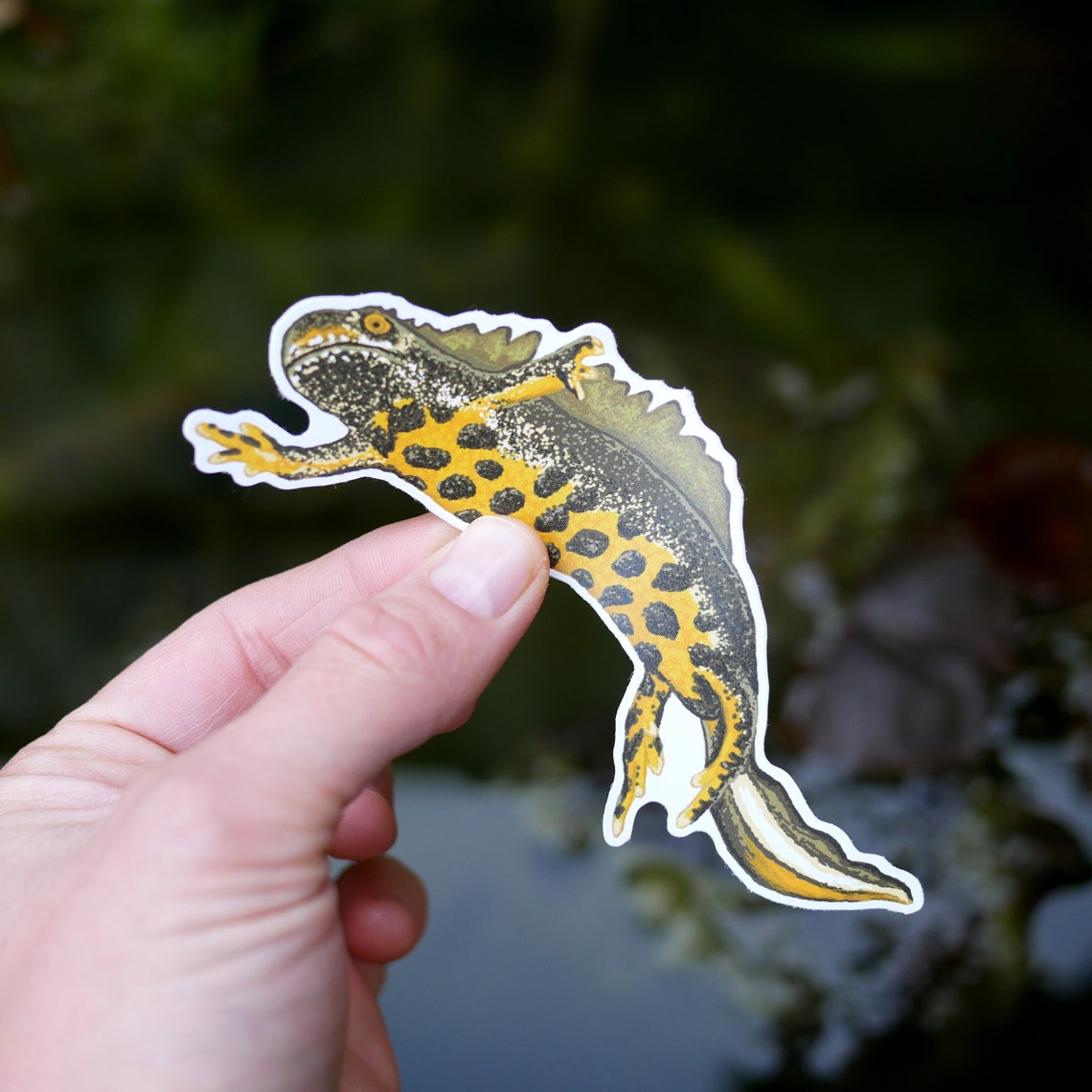 Great Crested Newt Vinyl Sticker - Waterproof Animal Wildlife Inspired ...