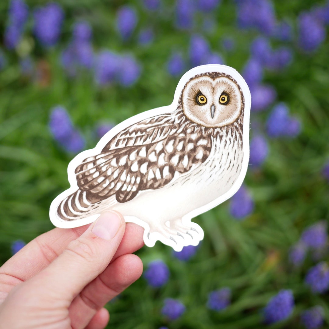 Short-eared Owl Vinyl Sticker - Waterproof Animal Wildlife Inspired ...