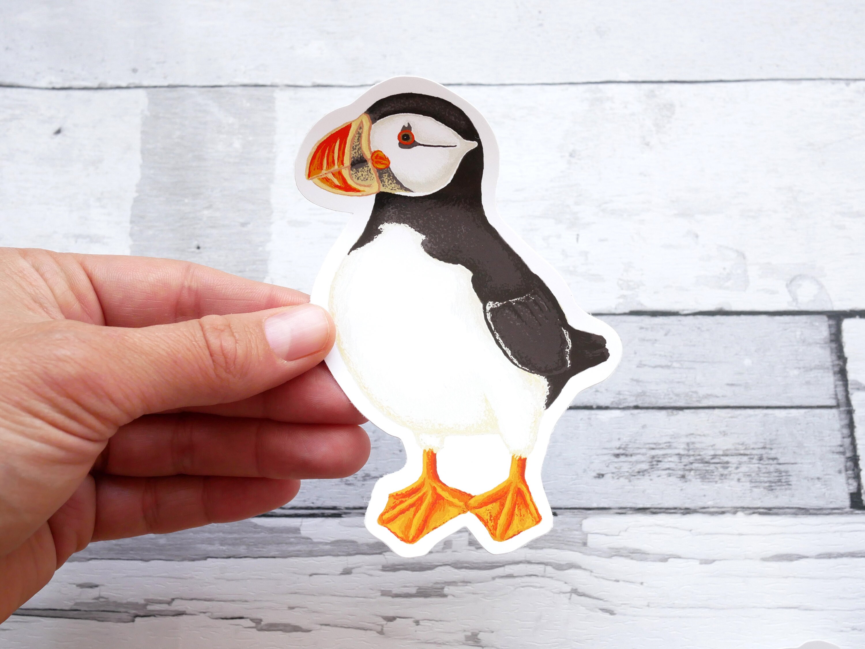 Puffin Vinyl Sticker Waterproof Animal Wildlife Inspired - Etsy Ireland