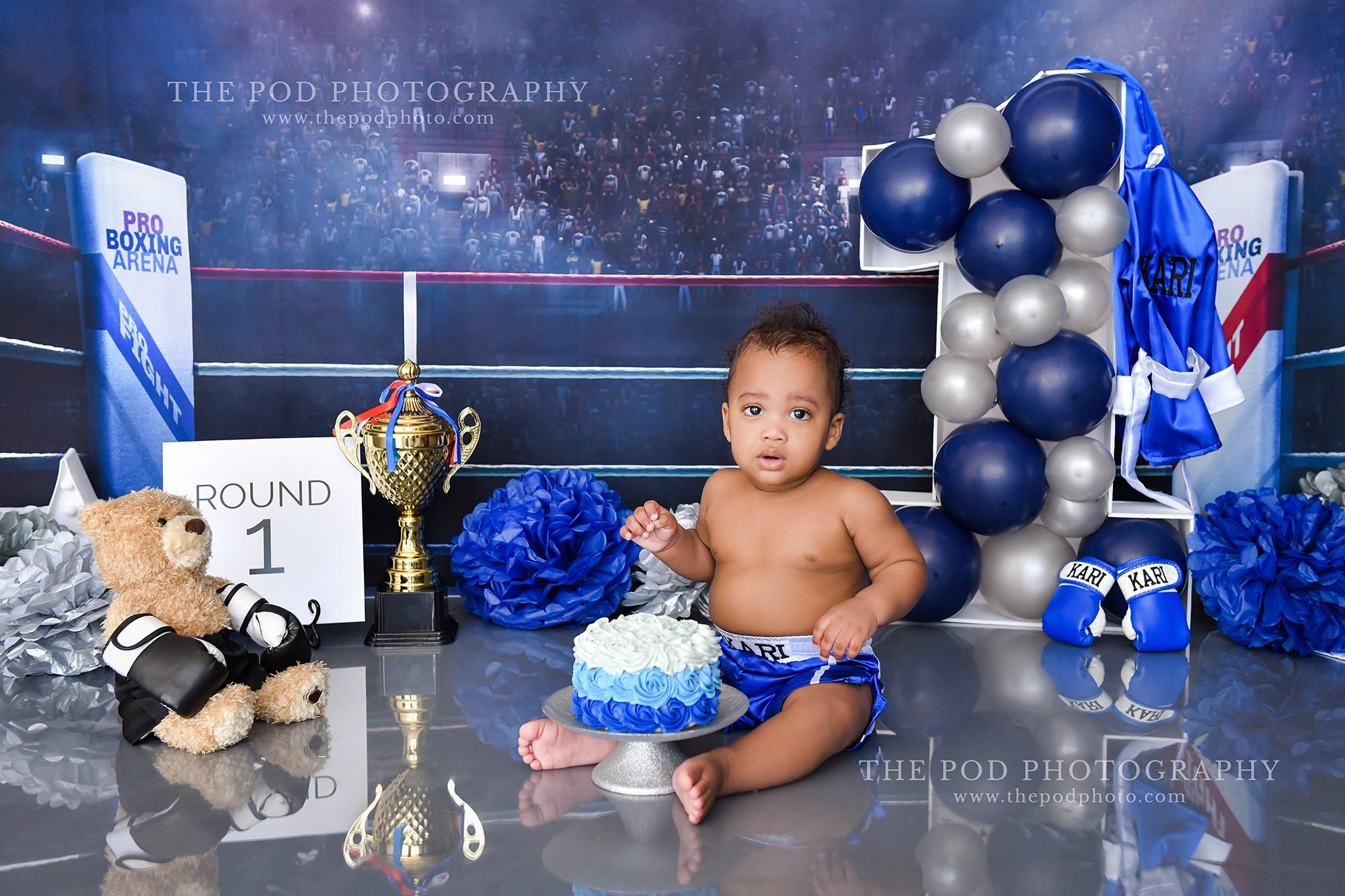 Boxing Arena First Birthday Photography Backdrop - Printed Version - Etsy