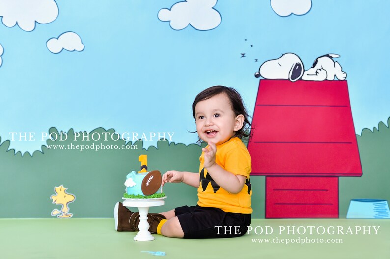 Charlie Brown Digital Backdrop - Etsy