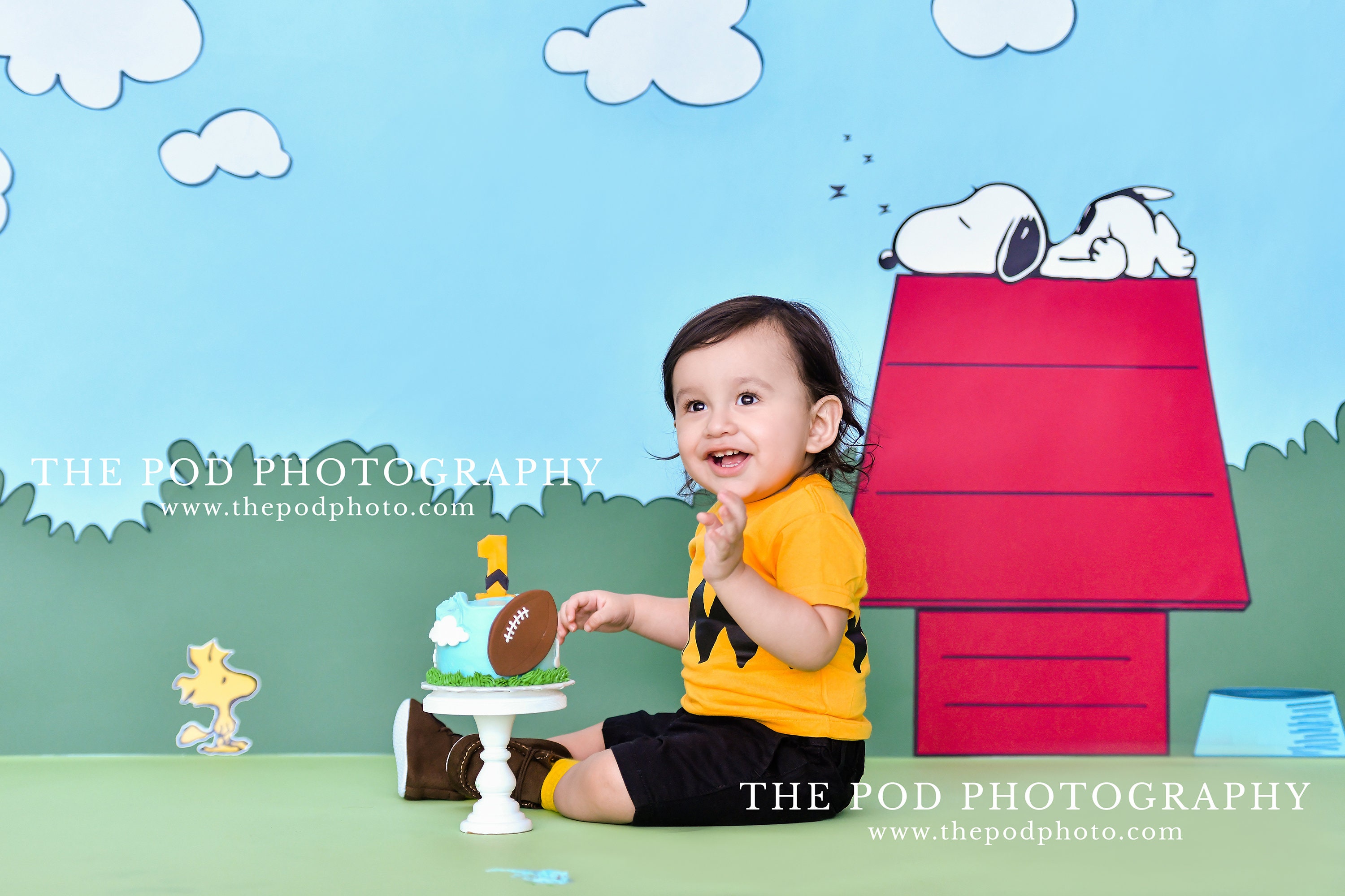 Charlie Brown Digital Backdrop - Etsy