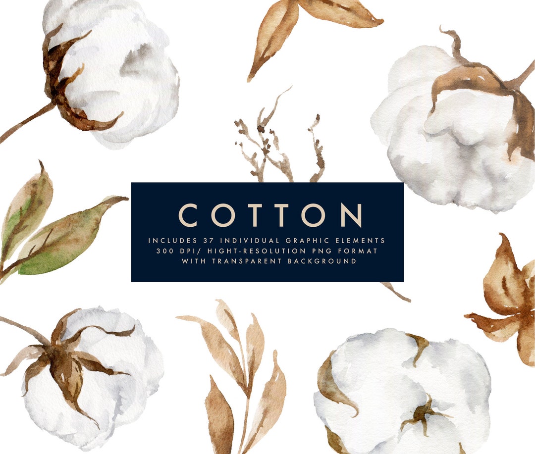 Watercolor Cotton Clip Art-cotton Elements/small Set/individual PNG ...