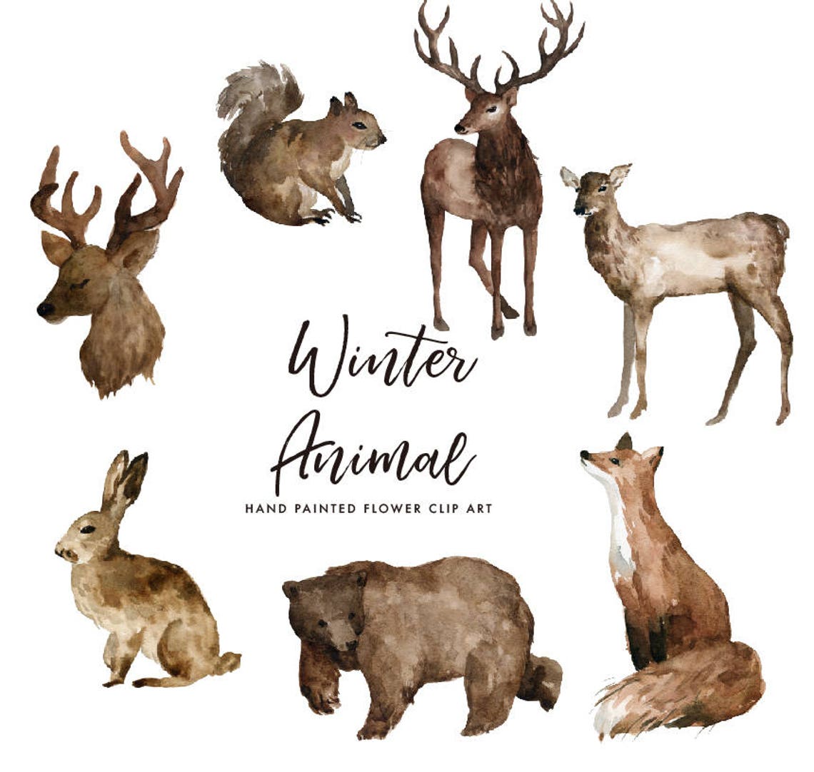 Watercolor Animal Clip Art-winter Animal/small Set/individual - Etsy