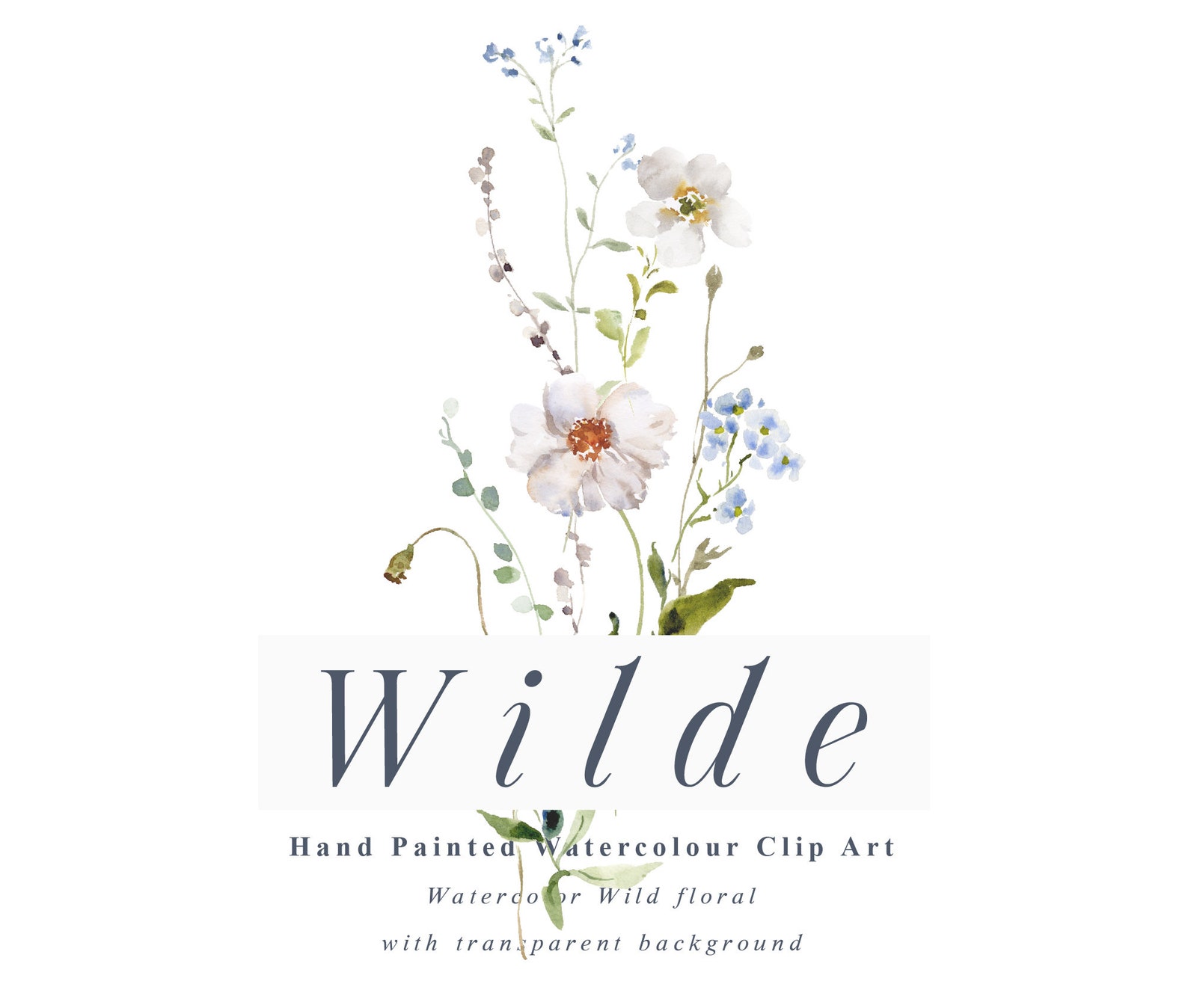 Wilde-watercolor Wildflower Clipart/small Set/individual PNG Files/hand ...