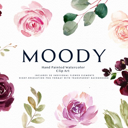 Watercolor Floral Clip Art-moody Graphic Elements/small - Etsy