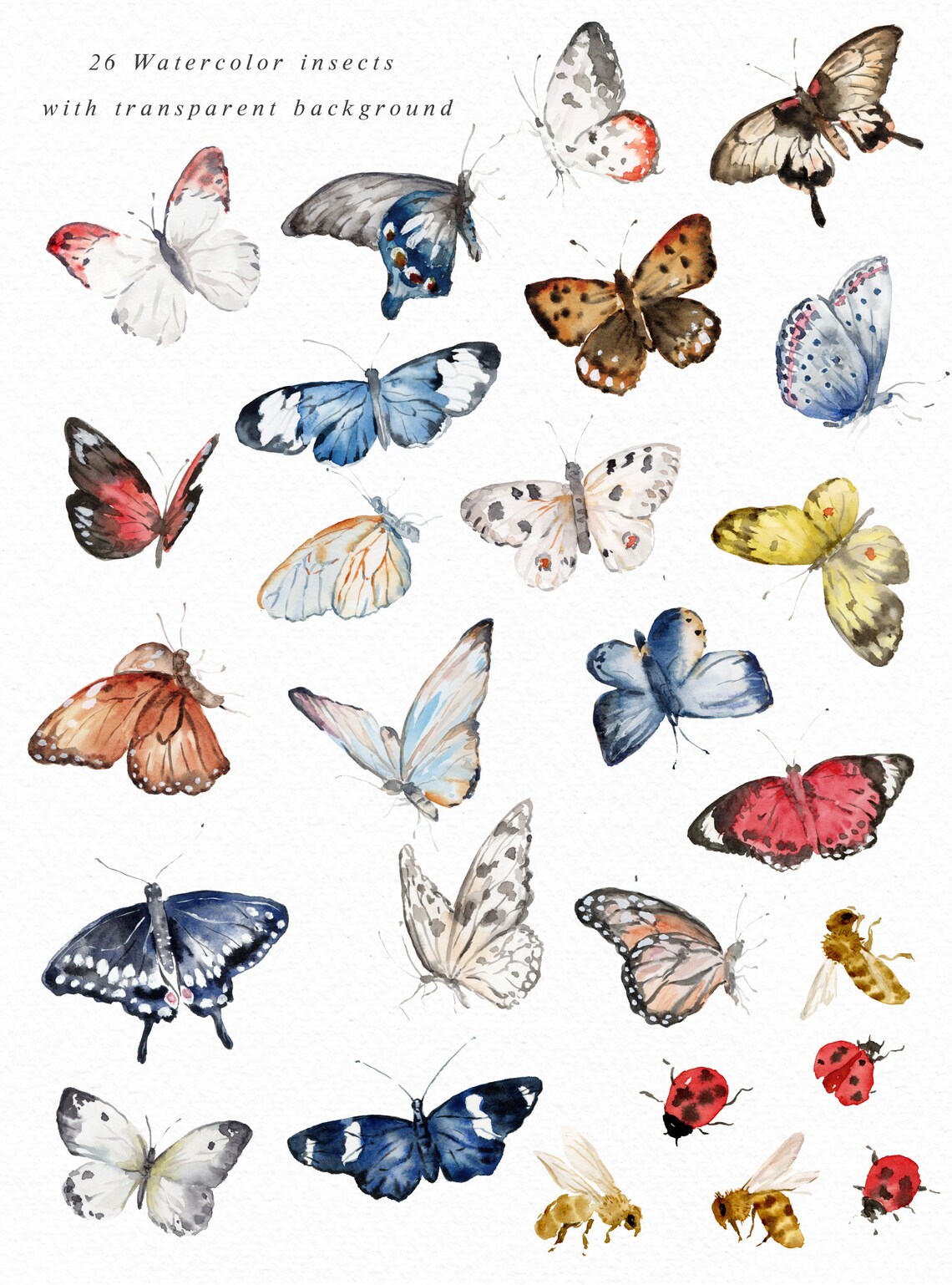 Insects-watercolor Butterflies Clipart /stickers Clipart/wedding ...