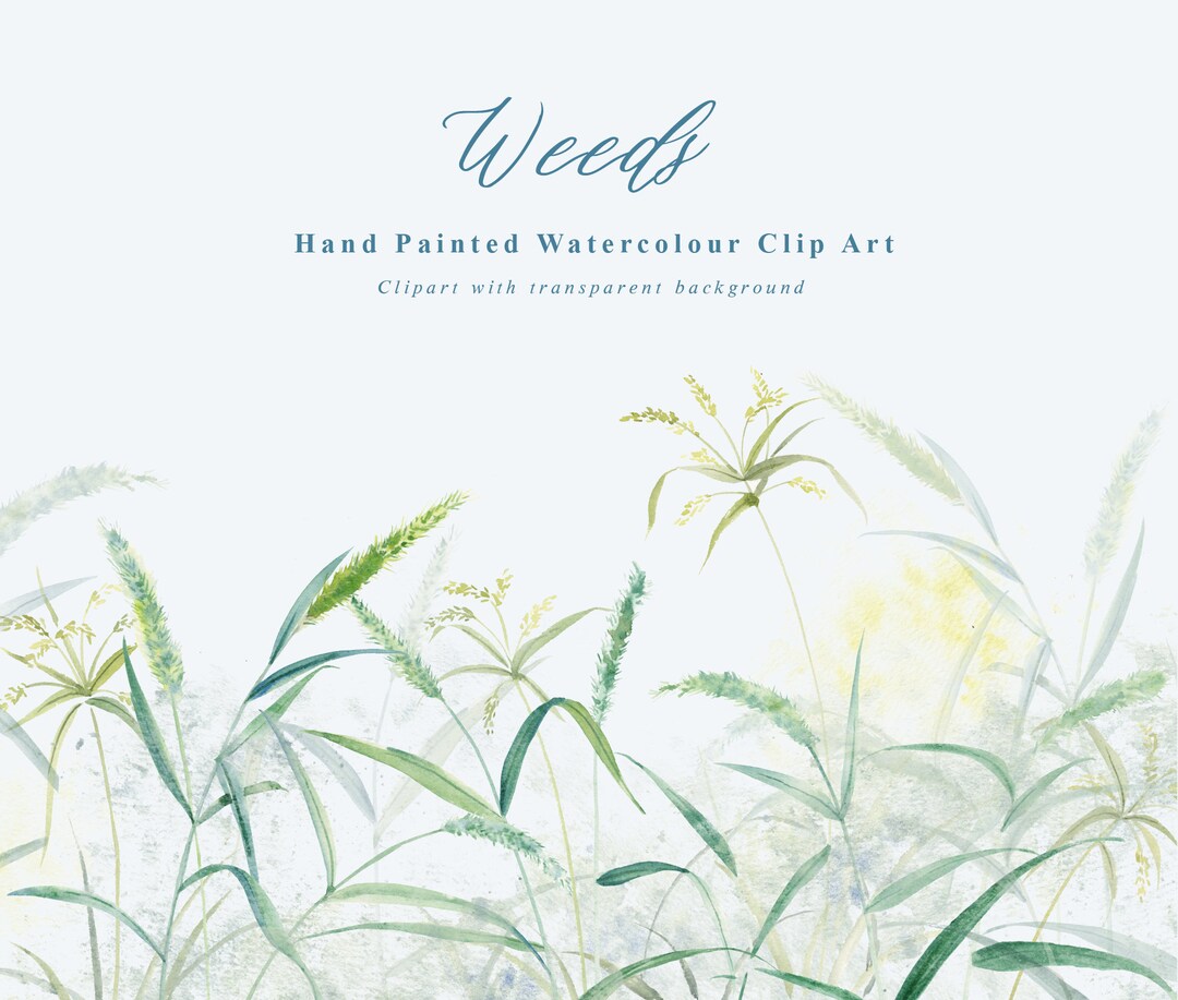 Weeds -watercolor Clipart /small Set/individual PNG Files/hand Painted ...