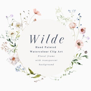 Wilde-watercolor Wildflower Clipart/small Set/individual PNG Files/hand ...