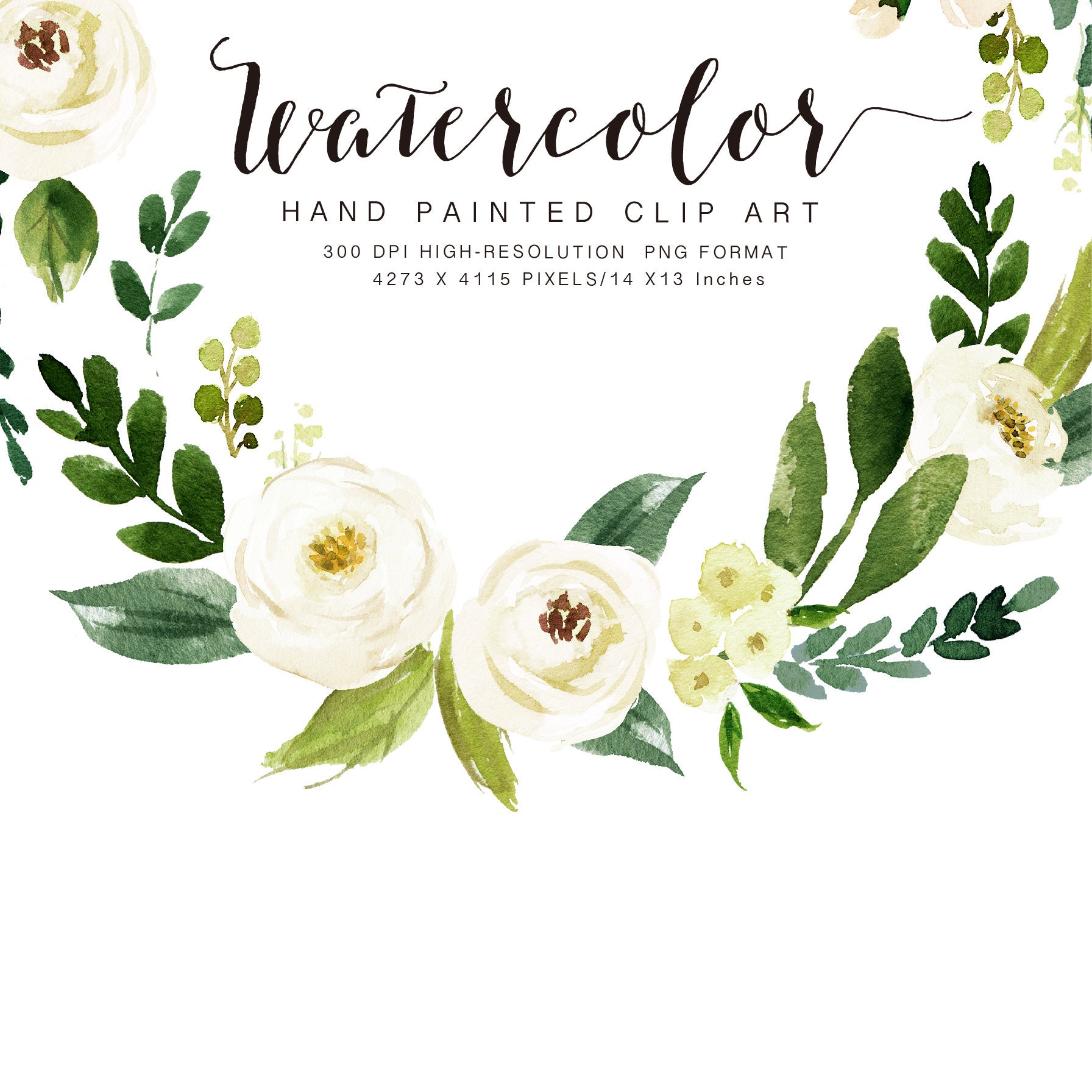 Watercolor Flower Wreath Clipart- Ivory/small Set/individual PNG Files ...