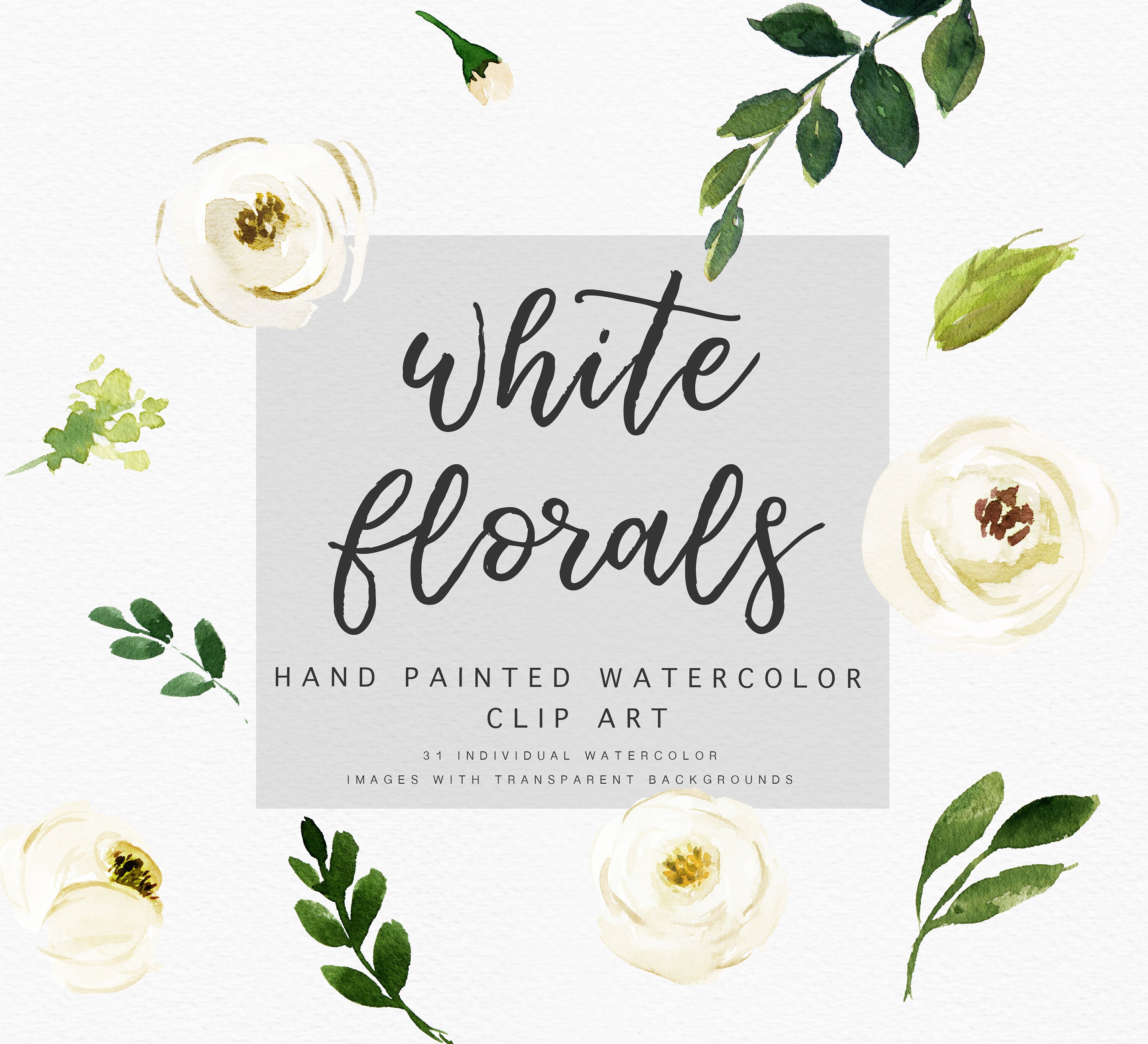Watercolor Floral Clip Art-white Flower Elements/small Set/individual ...