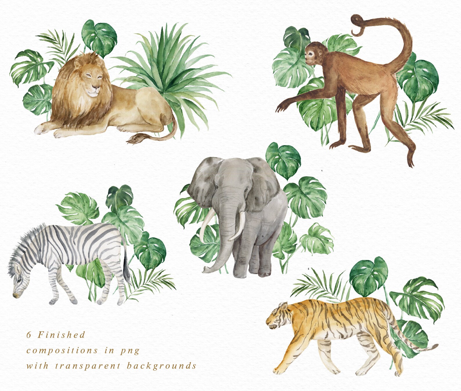 Watercolor Animal Clip Art-animals in the Jungle/small - Etsy