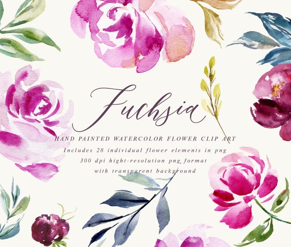 Fuchsia-watercolor Graphic Elements//small Set/individual PNG | Etsy