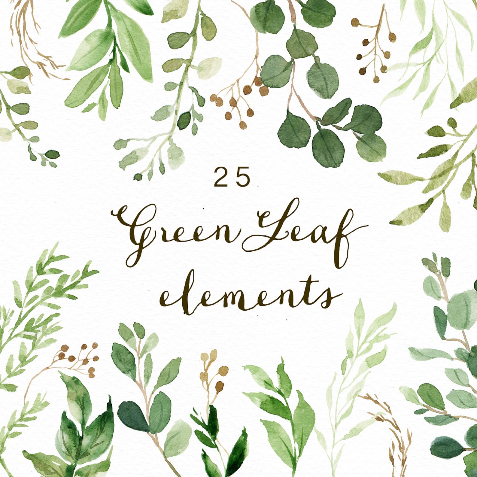 Watercolor Green Leaf Elements/small Set/greenery/eucalyptus/wild Leaf ...