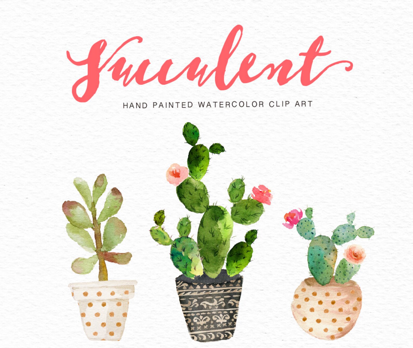 Watercolor Succulent Clip Art Collection /small Set/digital - Etsy