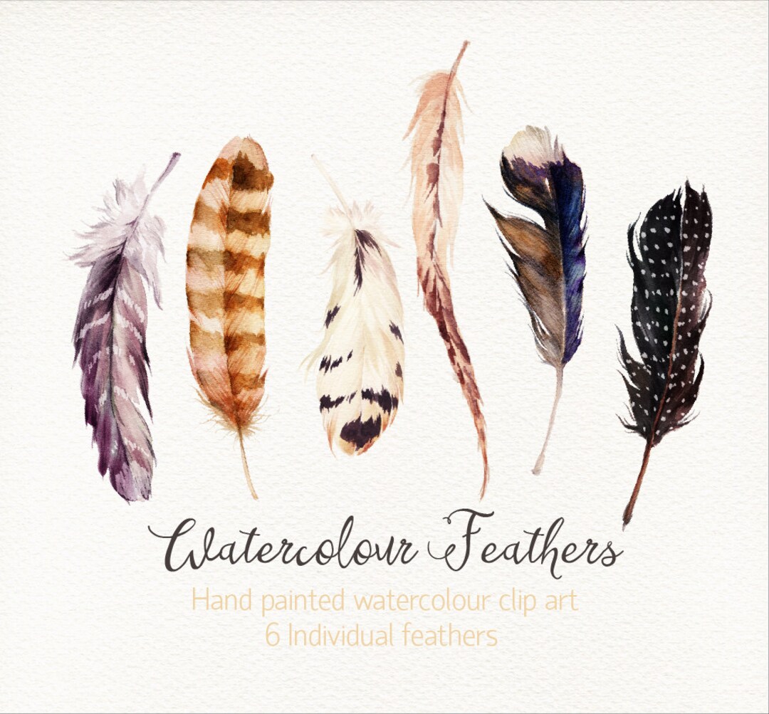 Watercolour Feathers /small Set/hand Painted Watercolour Clip Art ...