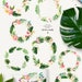 Summer Design Set-tropical/large Set/wedding/clip Art - Etsy