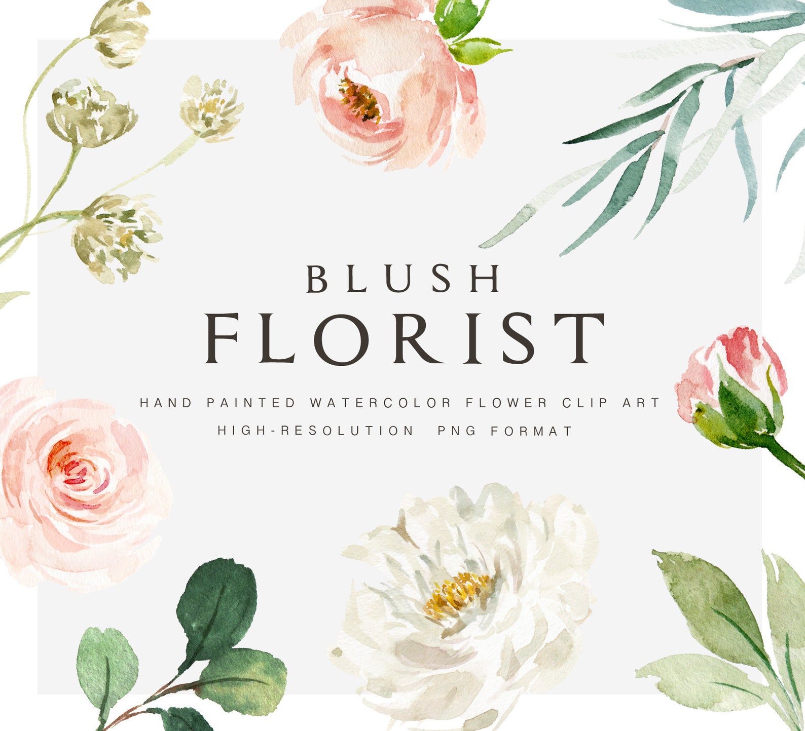 Blush Florist Graphic Elements/small Set/individual PNG | Etsy