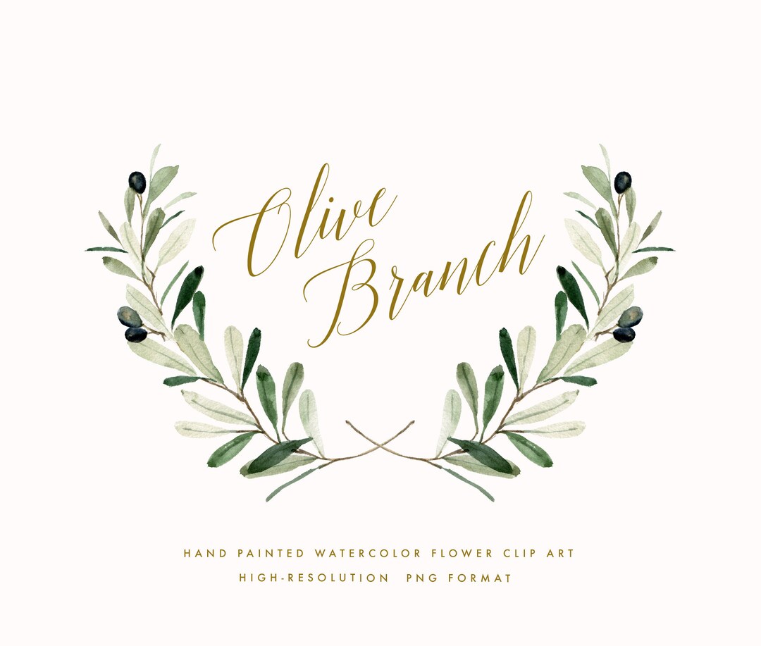 Watercolor Olive Branch Elements/small Set/greenery/olive Branch/wild ...