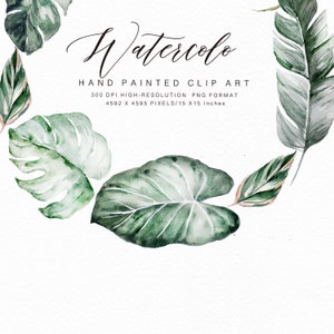 Watercolor Leaf Wreath Clipart-jungle/small Set/hand Painted/wedding ...