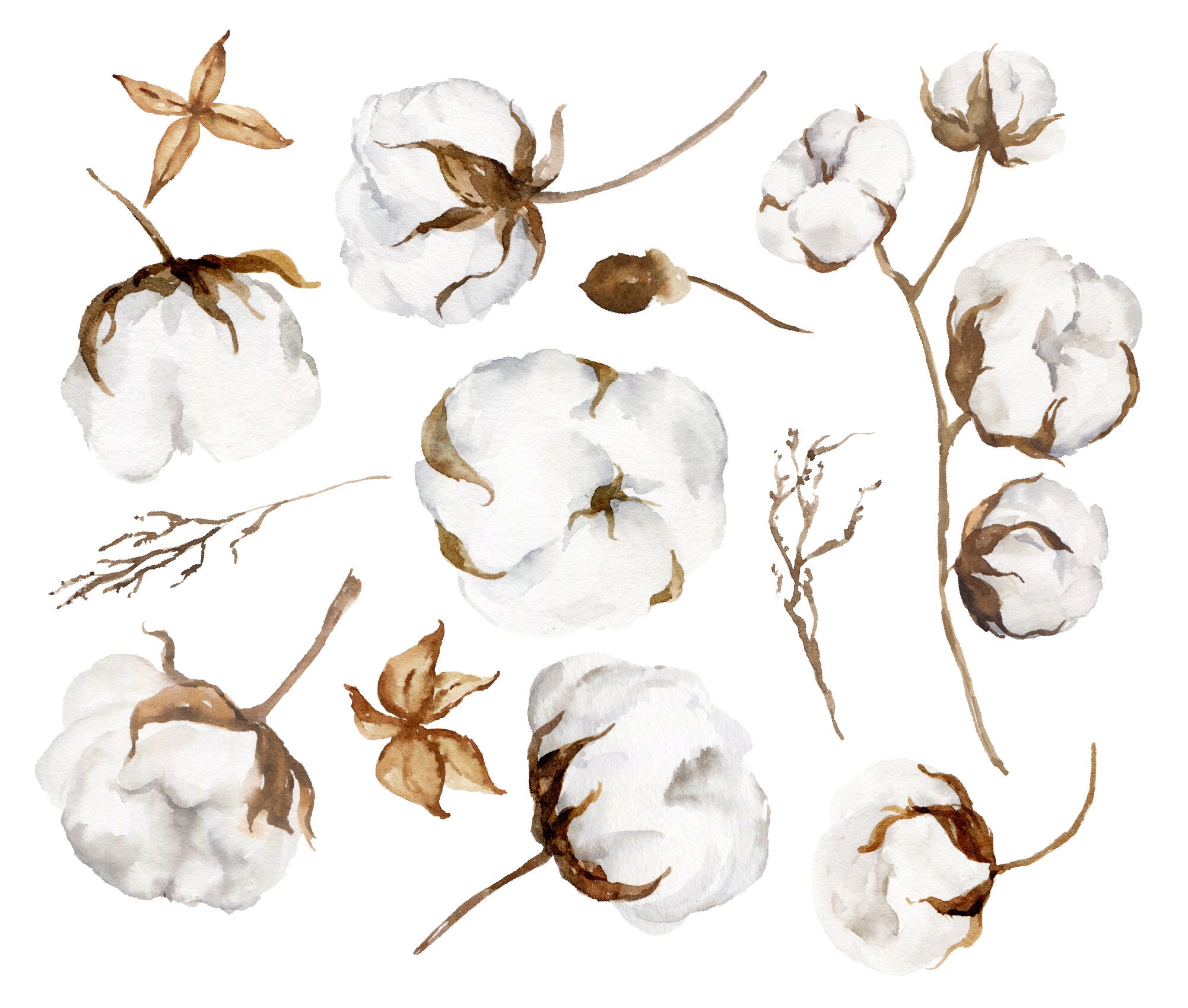 Watercolor Cotton Clip Art-cotton Elements/small Set/individual PNG ...