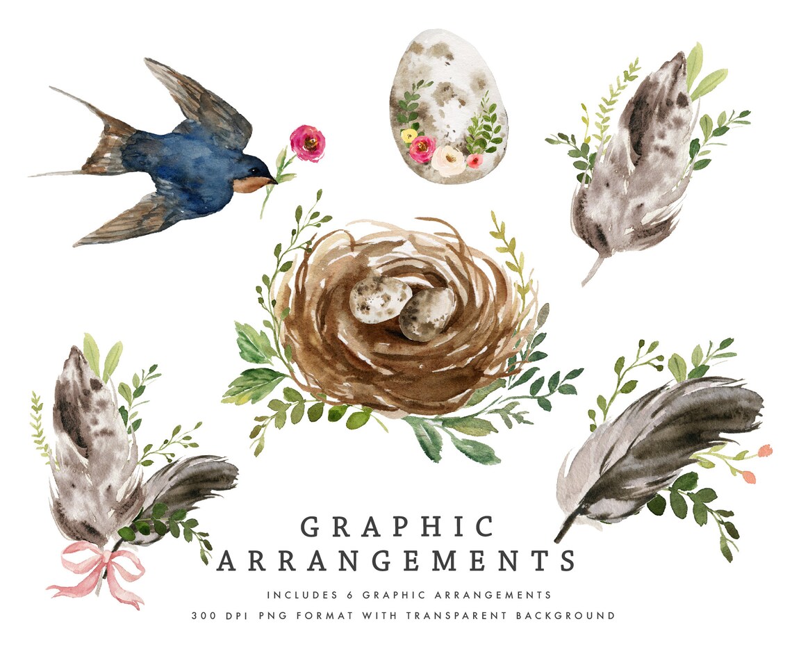 Watercolor Graphic Clip Art-bird Favorite/small Set/individual - Etsy