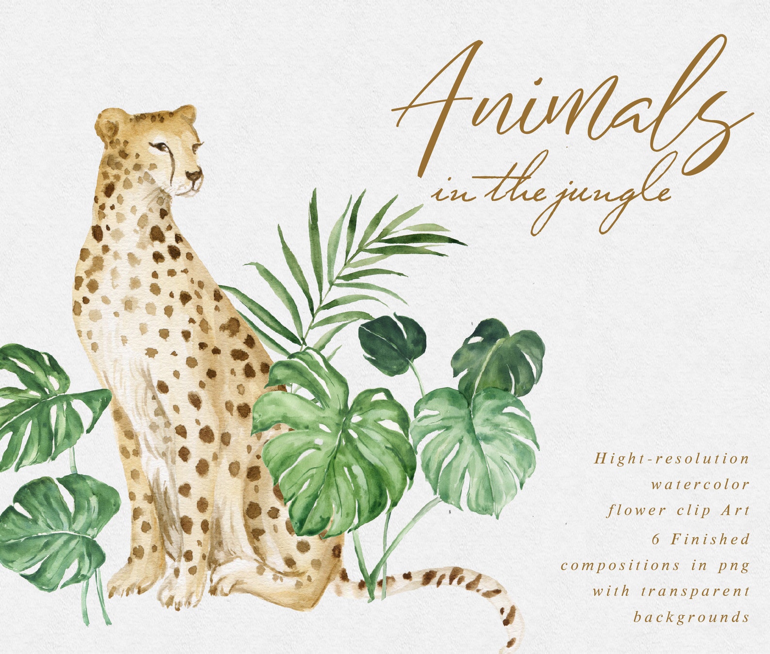 Watercolor Animal Clip Art-animals in the Jungle/small - Etsy