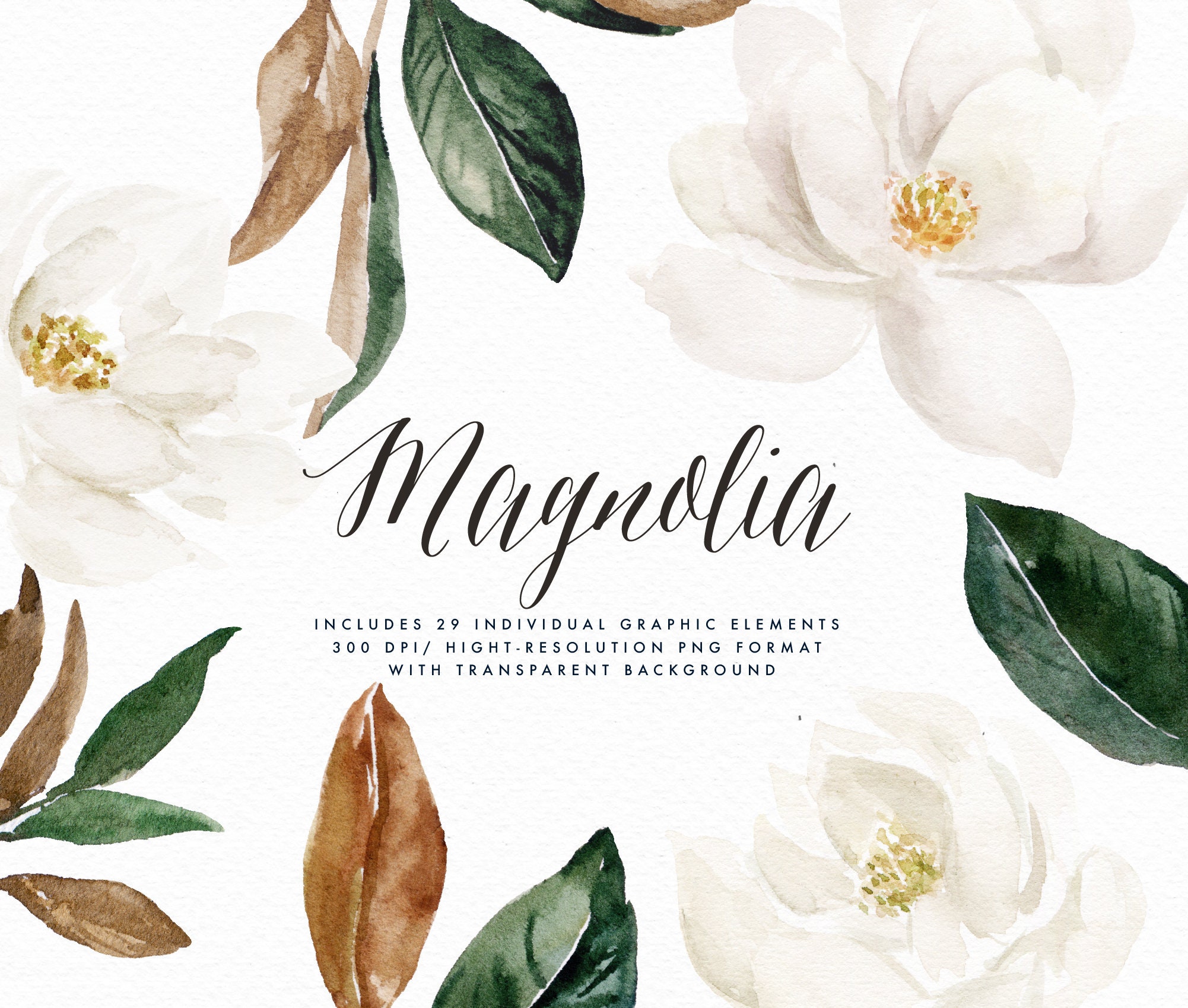 Watercolor Flower Clip Art-magnolia Elements/small - Etsy
