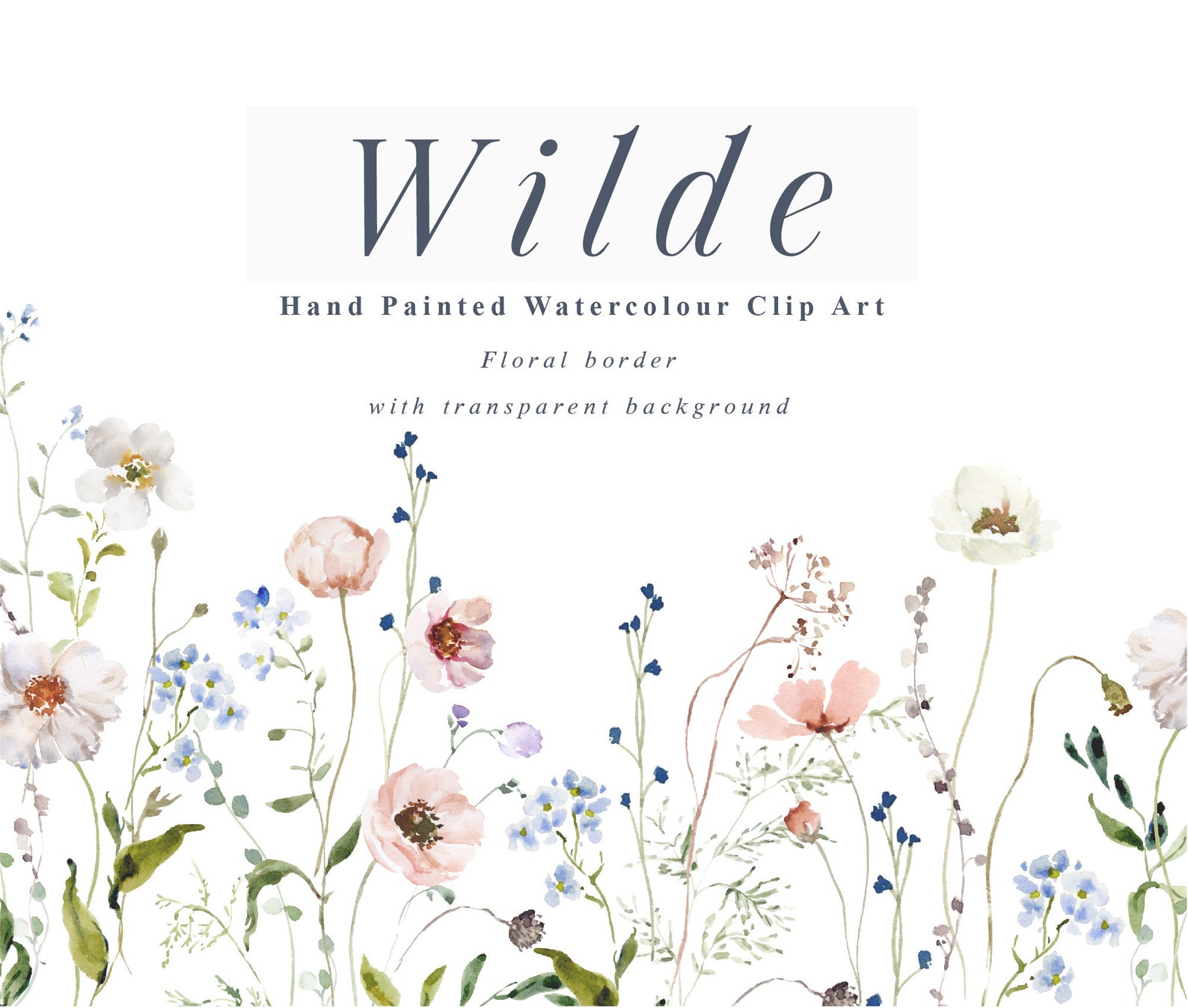 Wilde-watercolor Wildflower Clipart/small Set/individual PNG Files/hand ...