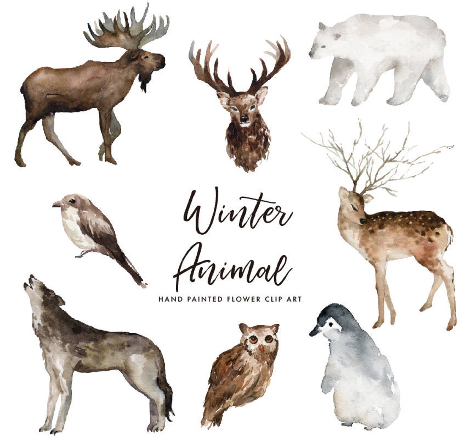 Watercolor Animal Clip Art-winter Animal/small Set/individual - Etsy