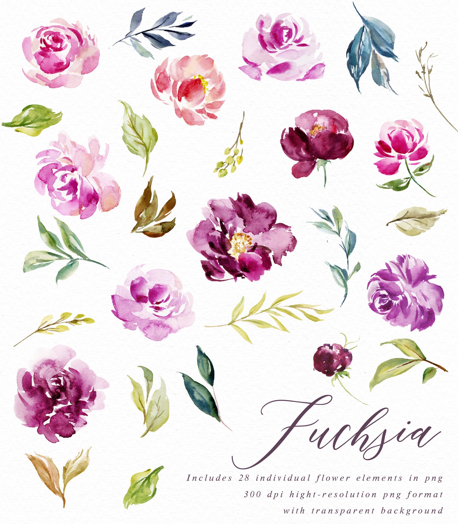 Fuchsia-watercolor Graphic Elements//small Set/individual PNG | Etsy