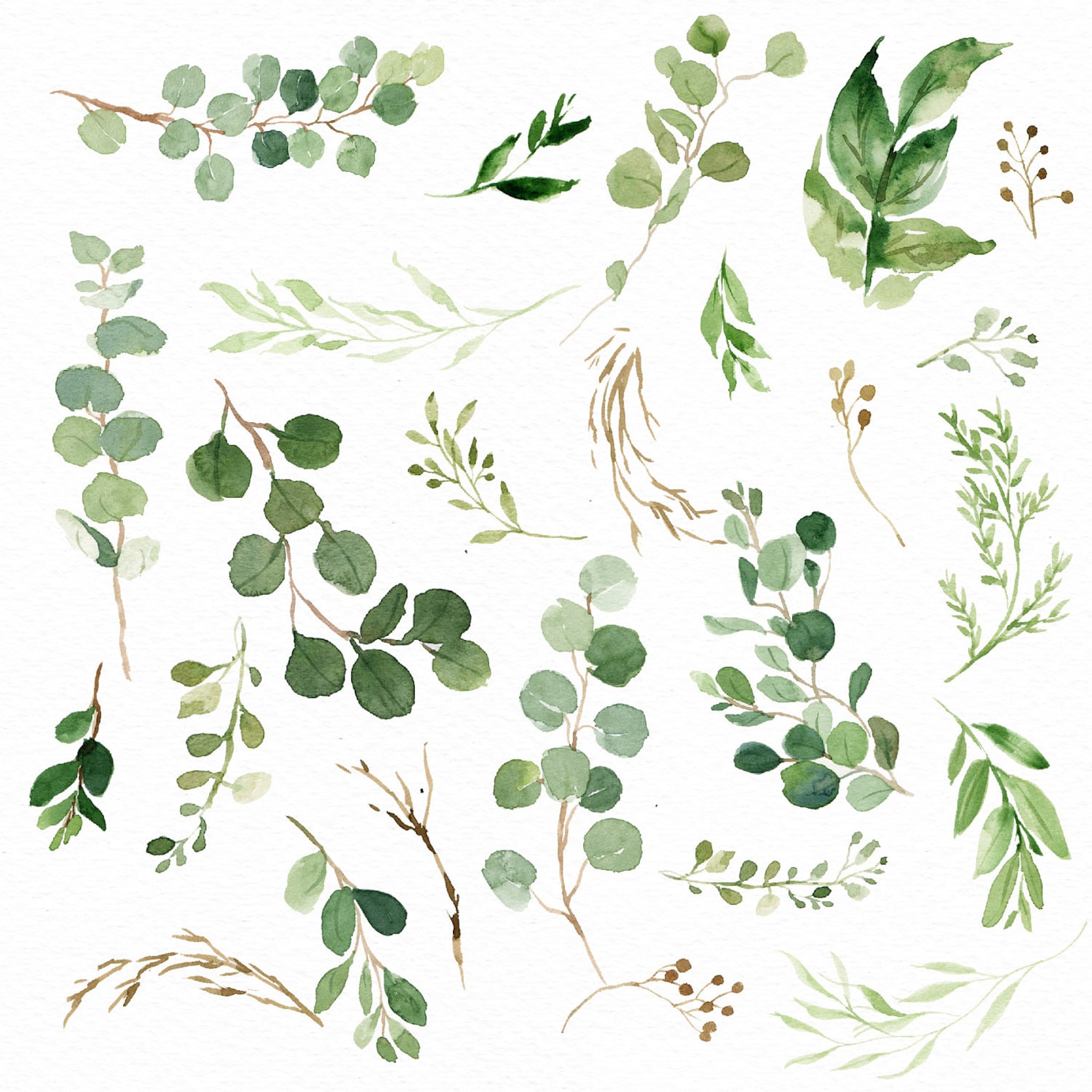 Watercolor Green Leaf Elements/small - Etsy