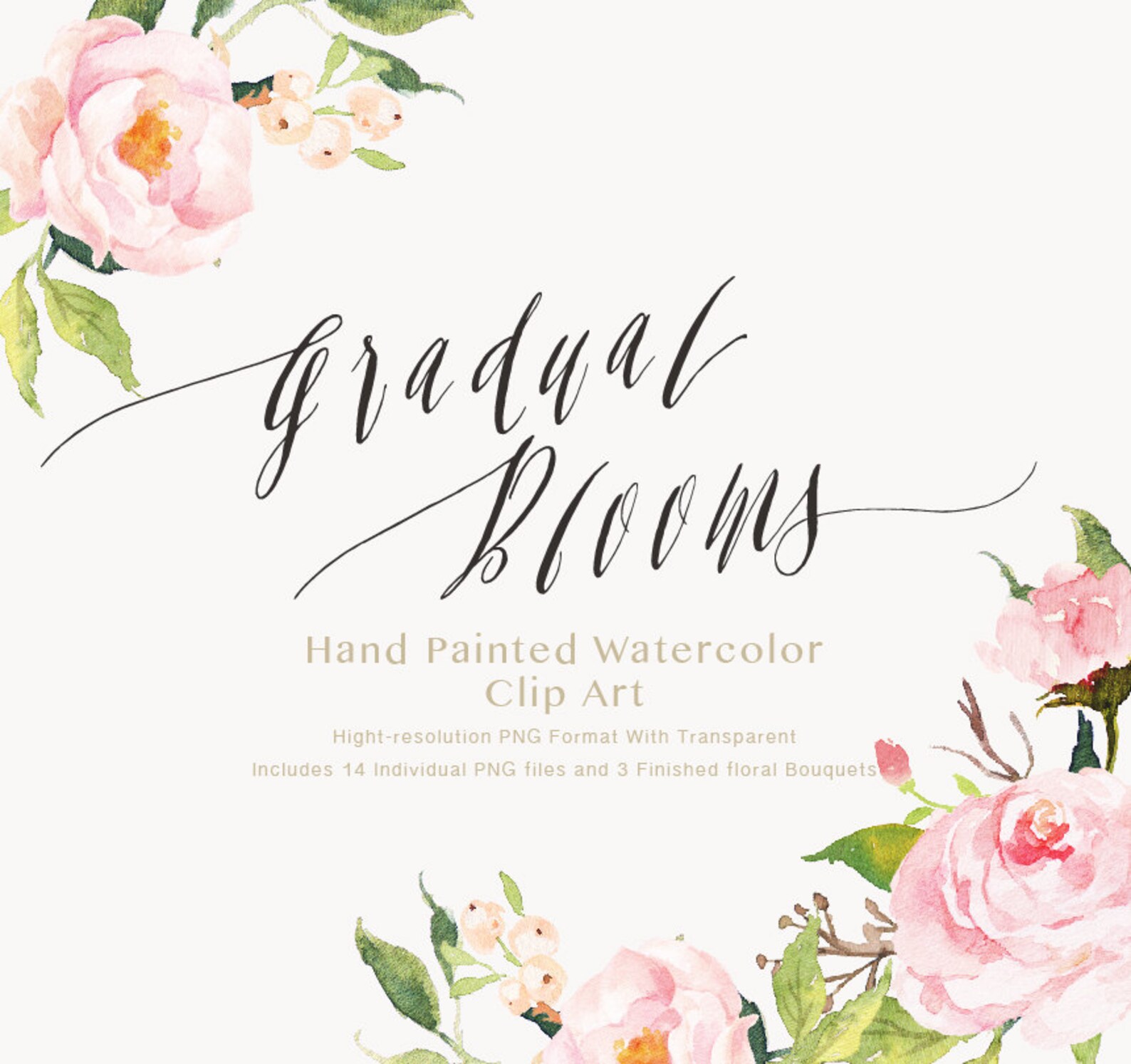 Watercolor Flower Clip Art-gradual Blooms/small Set/individual PNG ...