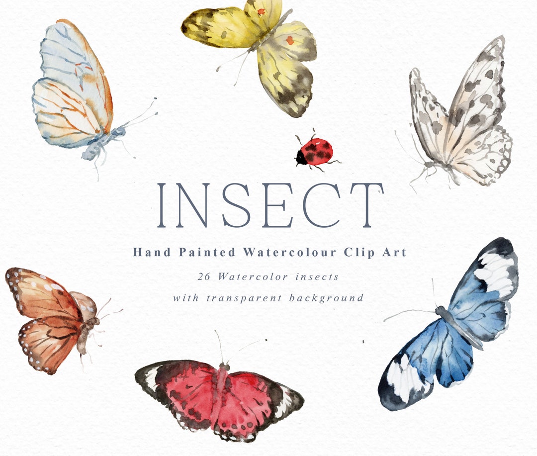 Insects-watercolor Butterflies Clipart /stickers Clipart/wedding ...