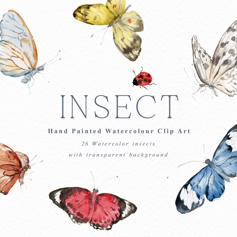 Watercolor Bugs Clipart - Etsy