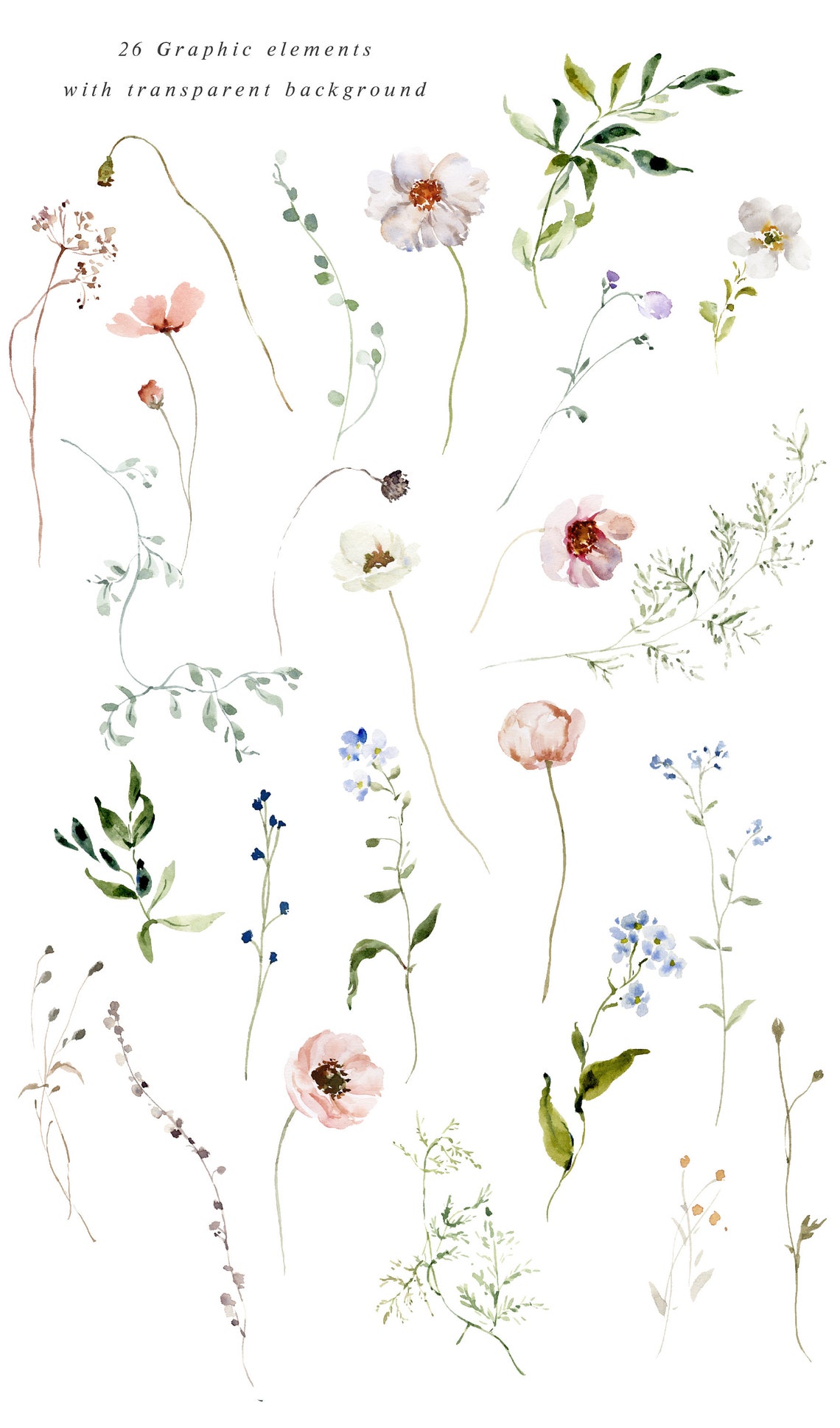 Wilde-watercolor Wildflower Clipart/small Set/individual PNG Files/hand ...