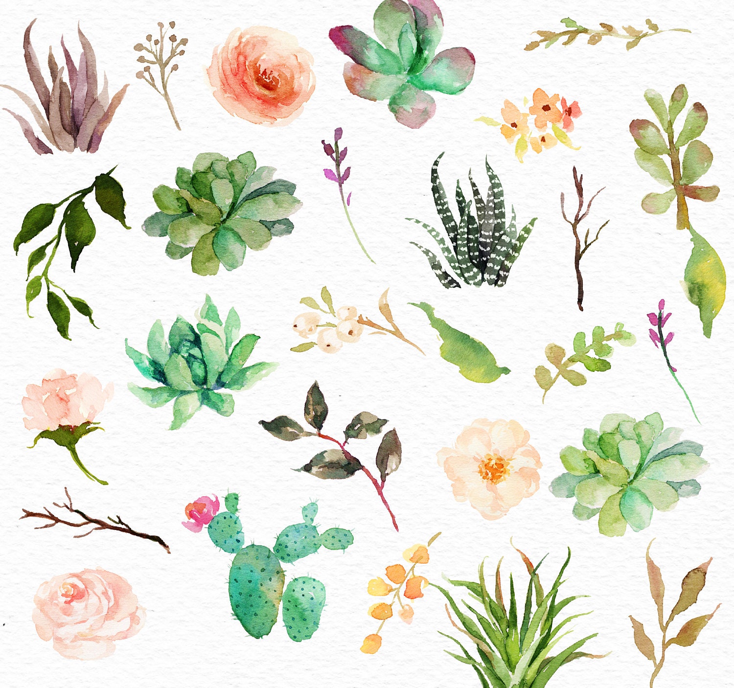 Watercolor Succulent Clip Art -pastel Succulent Elements/small Set ...