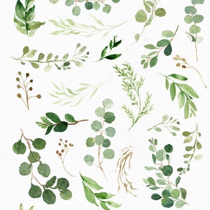 Watercolor Green Leaf Clip Art/greenery/small Set/eucalyptus/wild Leaf ...