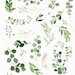 Watercolor Green Leaf Clip Art/greenery/small Set/eucalyptus/wild Leaf ...