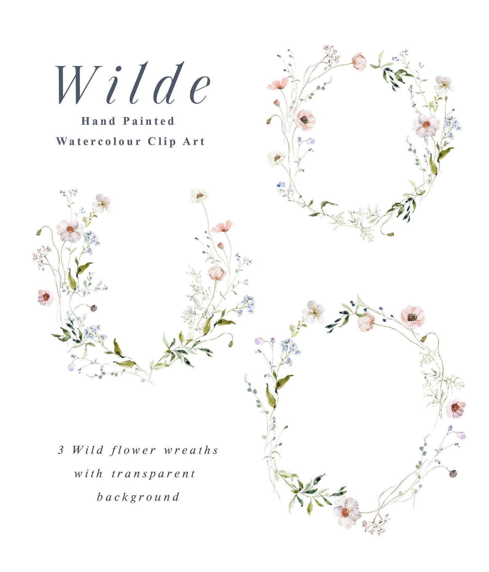 Wilde-watercolor Wildflower Clipart/small Set/individual PNG Files/hand ...