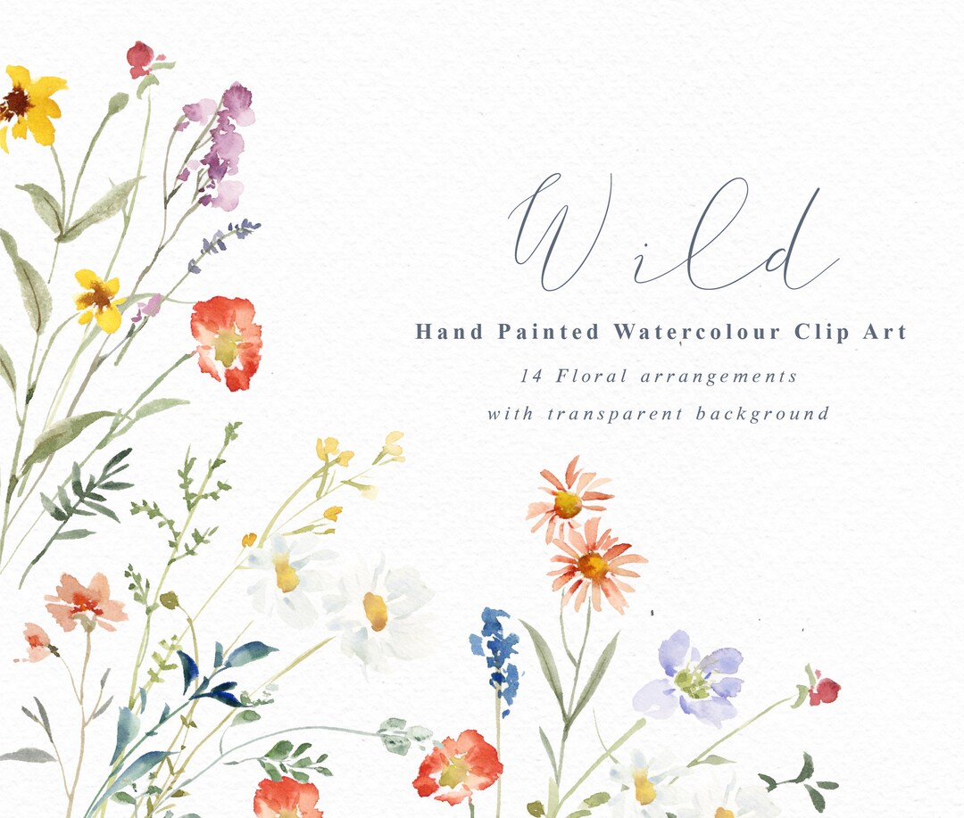Wild-watercolor Floral Clipart/small Set/individual PNG Files/hand ...