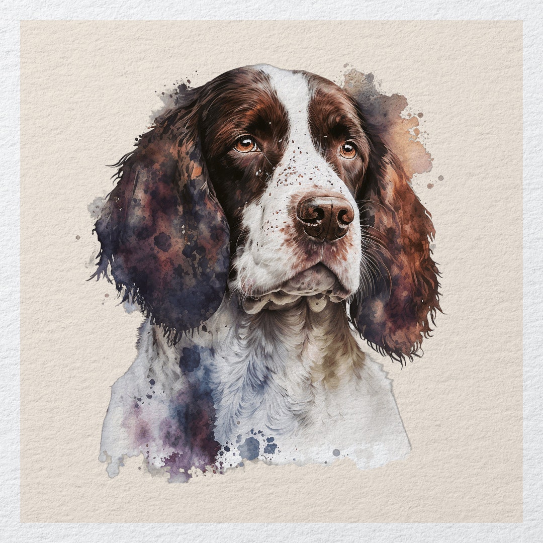 Springer Spaniel Gun Working Dog Paws Pet Animal Watercolour Splash ...