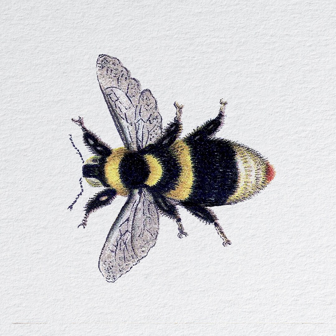 Bumble Bee - Fabric Panels Cushion Panels Velvet Cotton Polycotton ...