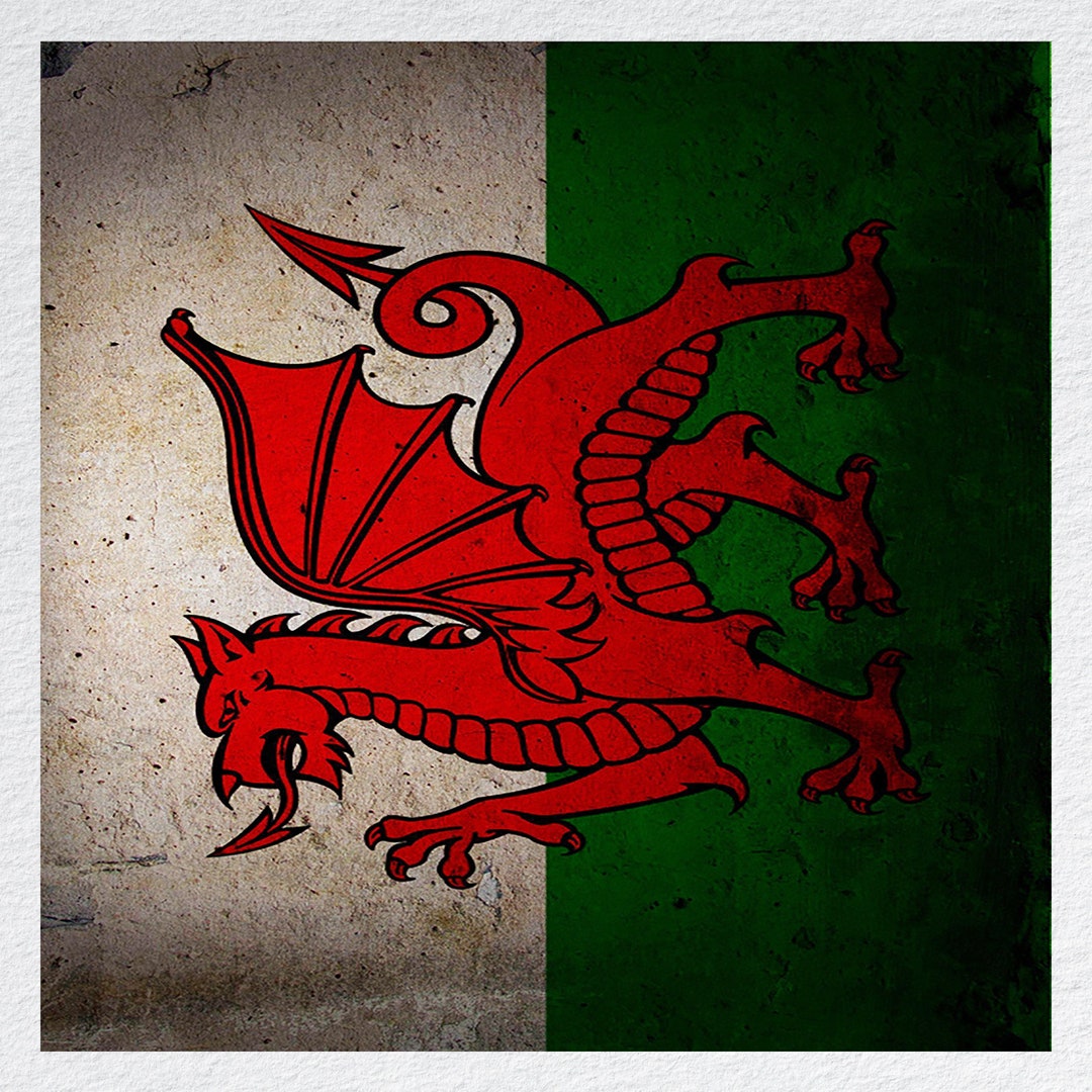 Welsh Dragon Flag - Fabric Panels Cushion Panels Velvet Cotton ...