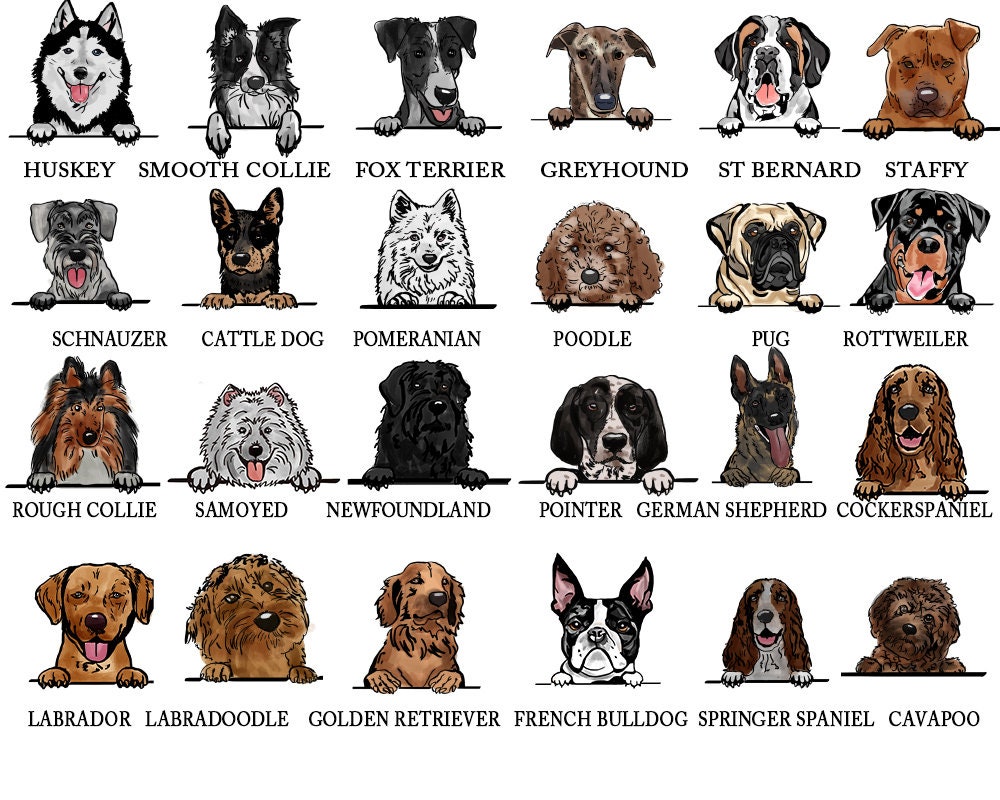 Personalised Custom Home Bar Dog House Any Breed Pub Metal - Etsy UK