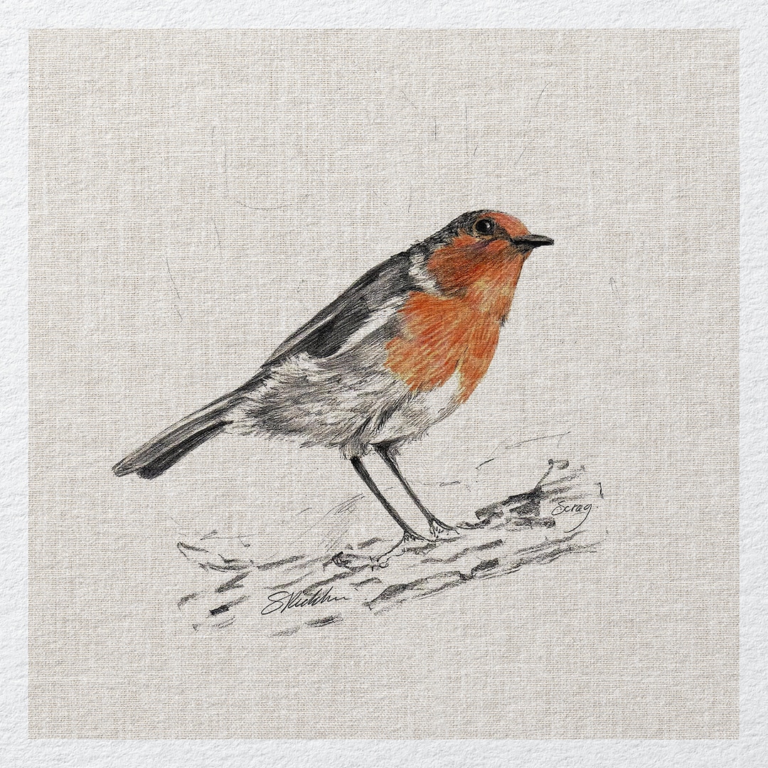 Robin Illustration - Fabric Panels Cushion Panels Velvet Cotton ...