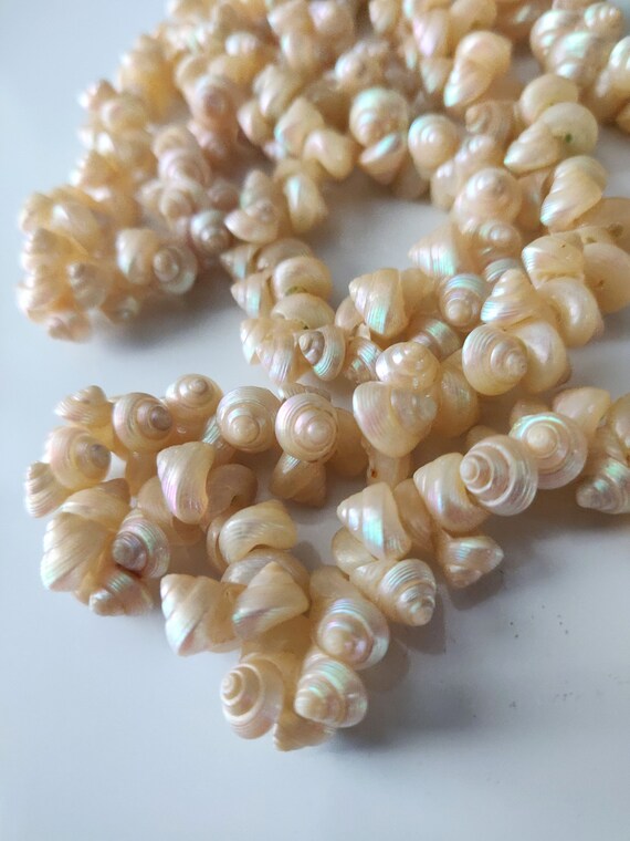 Vintage Art Deco Iridescent Trochus Shell Necklace ~ - Gem