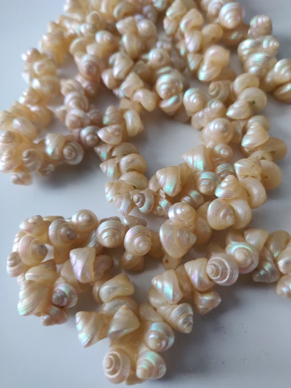 Vintage Art Deco Iridescent Trochus Shell Necklace ~ - Gem