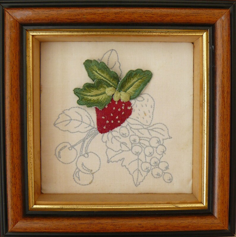 ST 302 Strawberry Summer Fruits Starter Stumpwork Raised Embroidery Kit ...